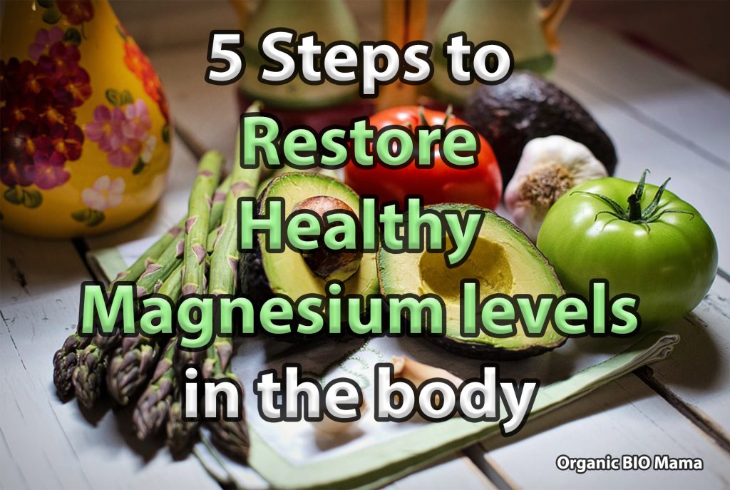 The Root Cause Protocol by Morley Robbins (Magnesium Protocol ...